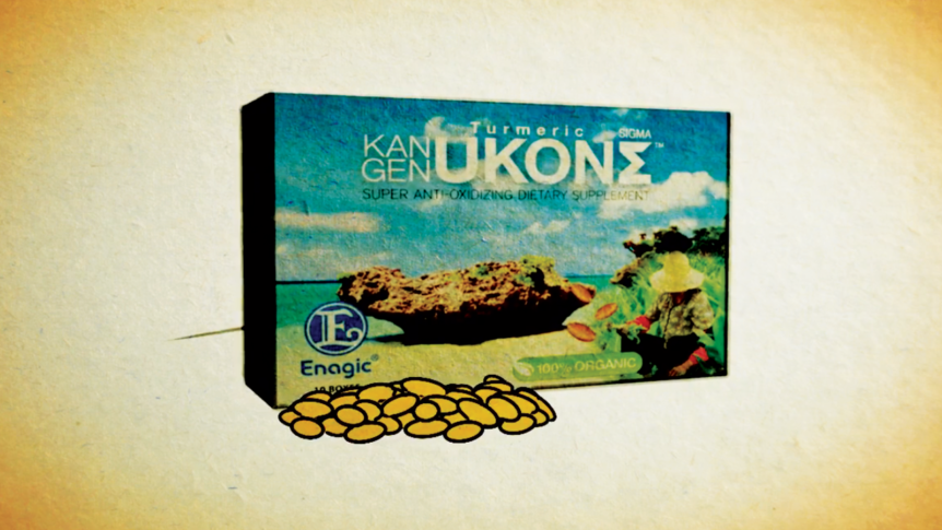 Best Turmeric Supplement: Kangen UKON By Enagic (Organically Grown ...